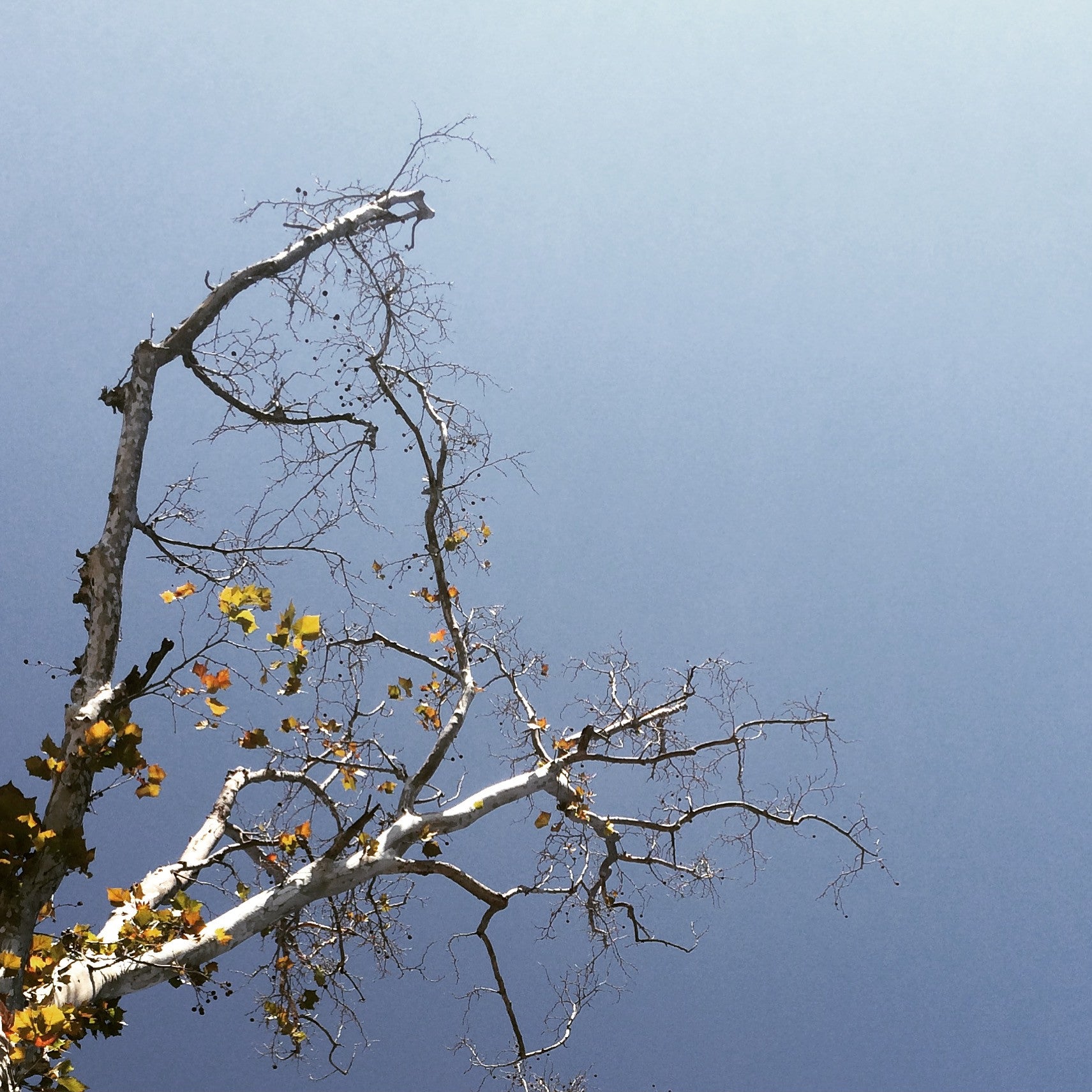 Magic and Meaningful Work: Purpose for the Modern Creative – Code&Quill